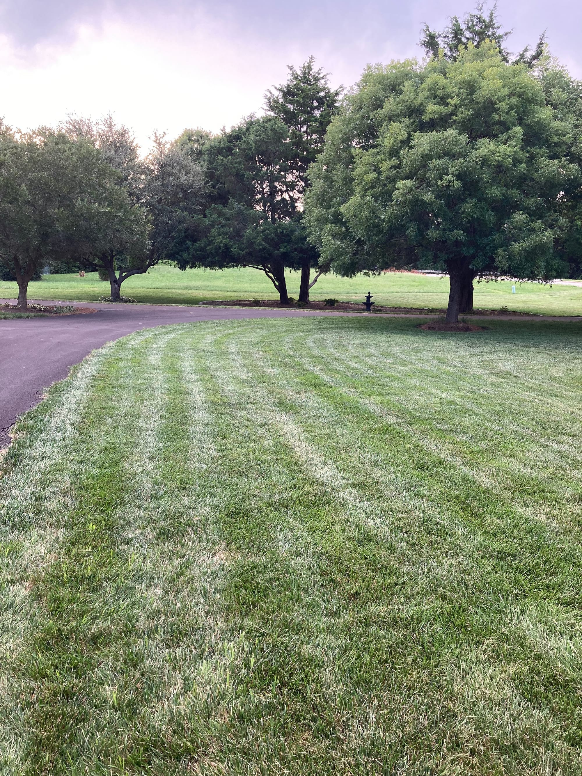 Friendly Pro Landscapes