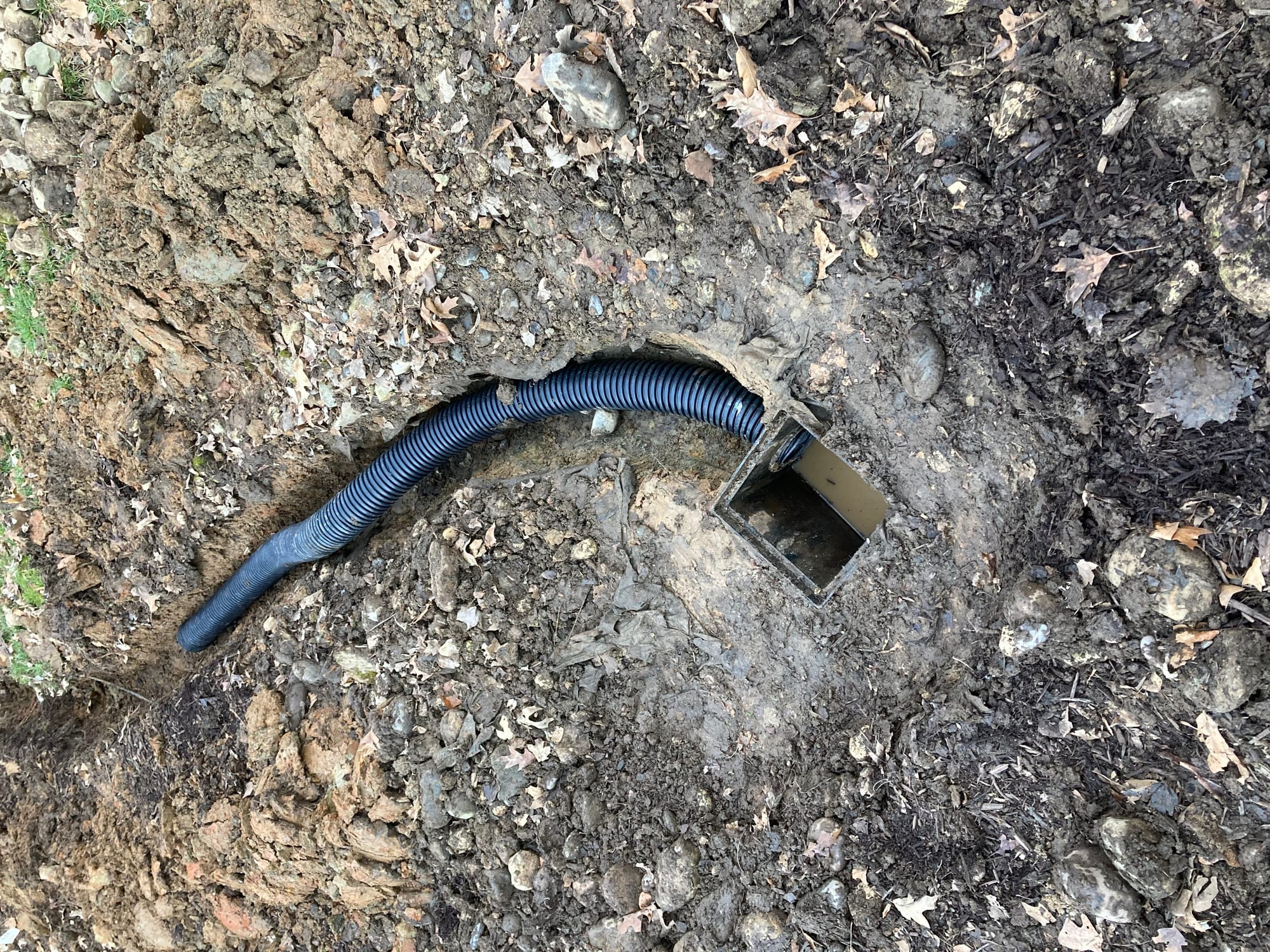 Friendly Pro Landscapes