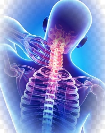 Dr C Kleynhans Family Chiropractor dr-c-kleynhans-family-chiropractor