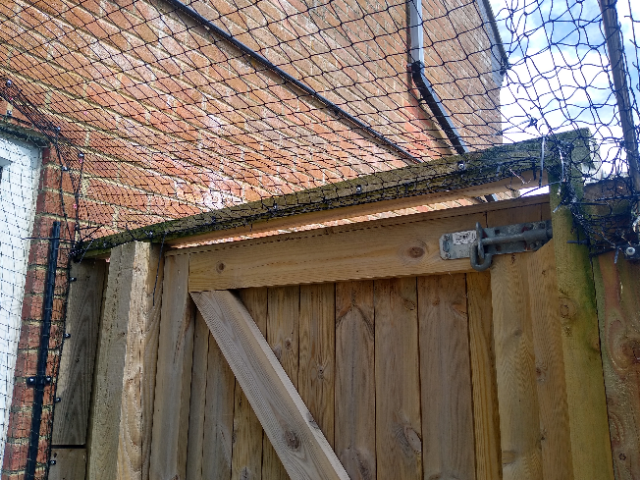 Securacat Direct | Cat Fencing Solutions | Cat Proof My Garden