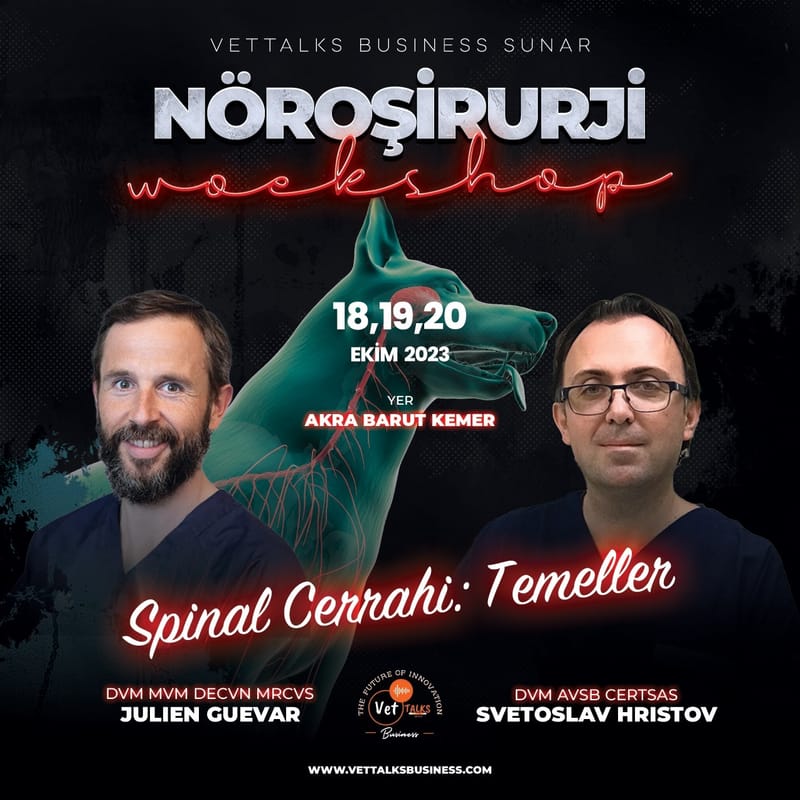 Julien ve Svetoslav ile Omurga Cerrahisi Workshop :Temeller