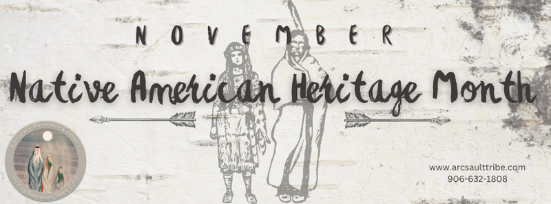 November-Native American Heritage/Cultural Abuse Awareness - Advocacy ...