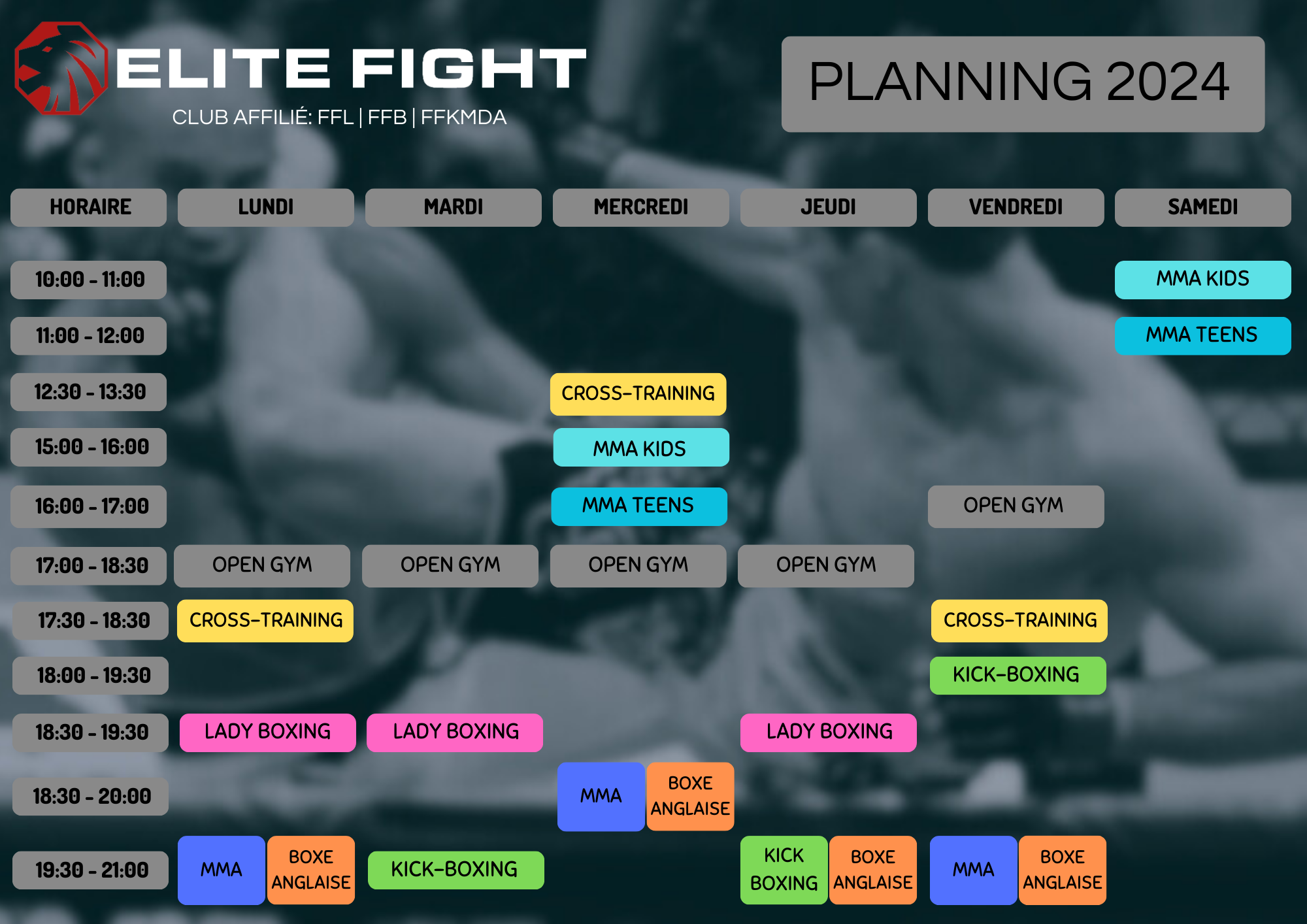 Elite Fight - ELITE FIGHT