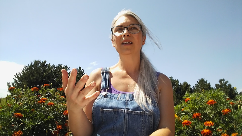 My kids beat me up this morning - Voices of Nebraska