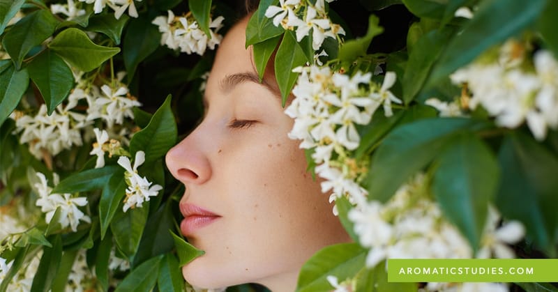 The Power of Aroma: How Essential Oils and Our Sense of Smell Can ...