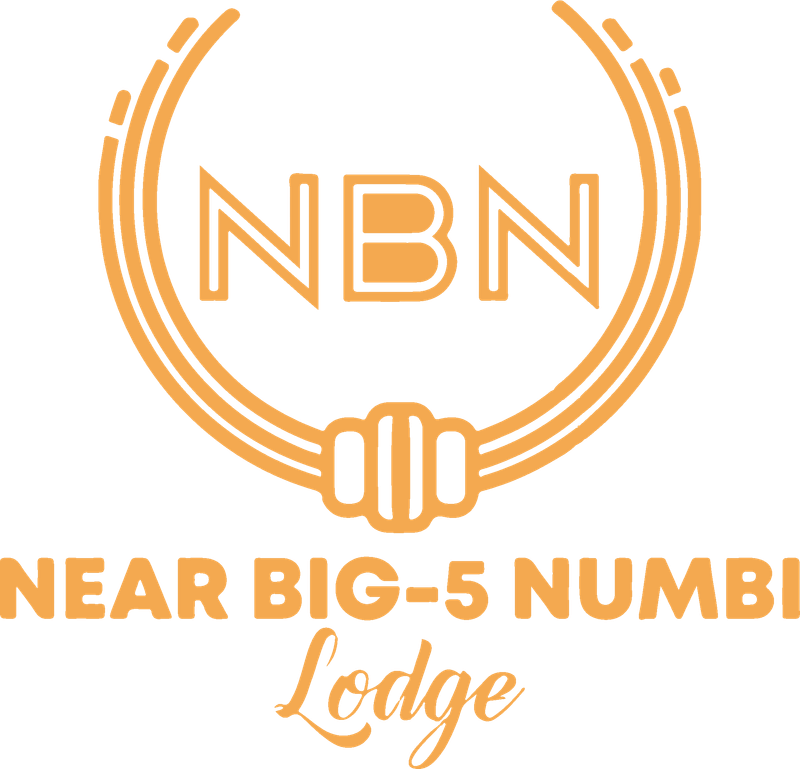 Contact us - Near Big 5 Numbi Lodge