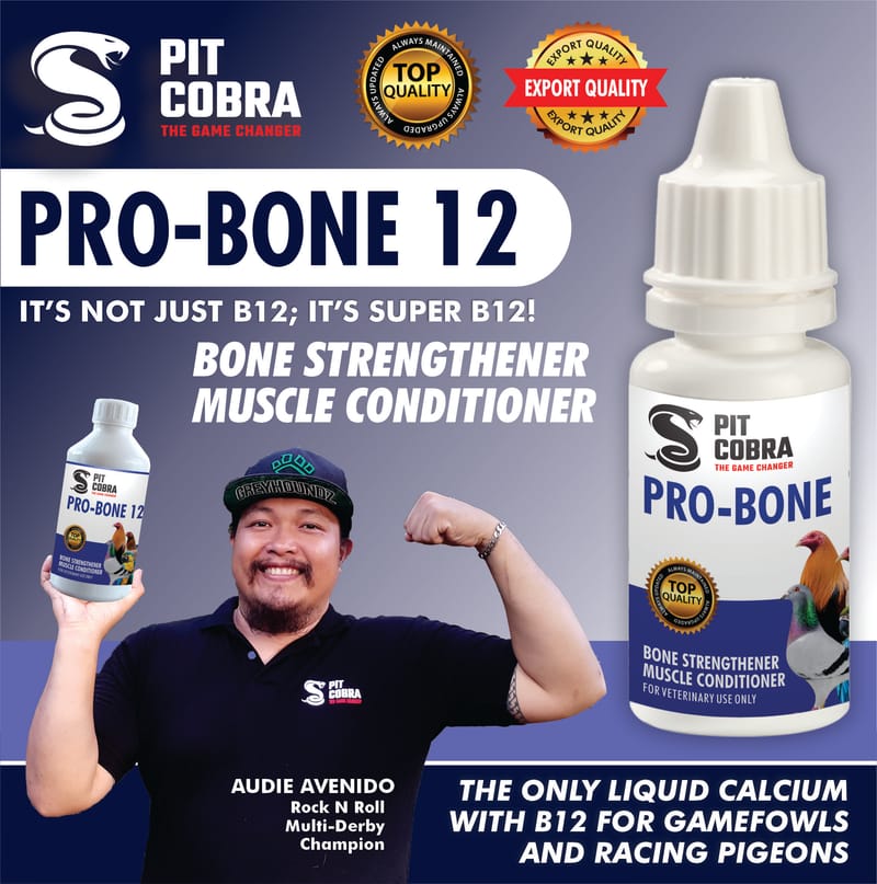 PIT COBRA KIT - Pit Cobra