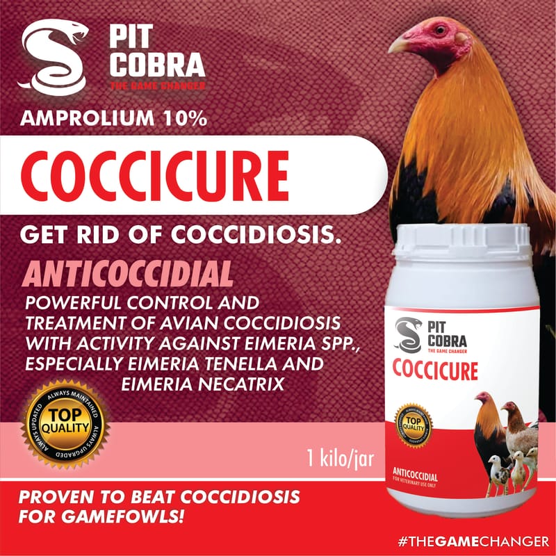 Gamefowl and Racing Pigeon Products | Pit Cobra: The Game Changer