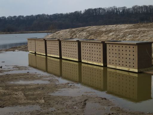 Sand Martin Banks - Green Future Building Ltd (GFB)