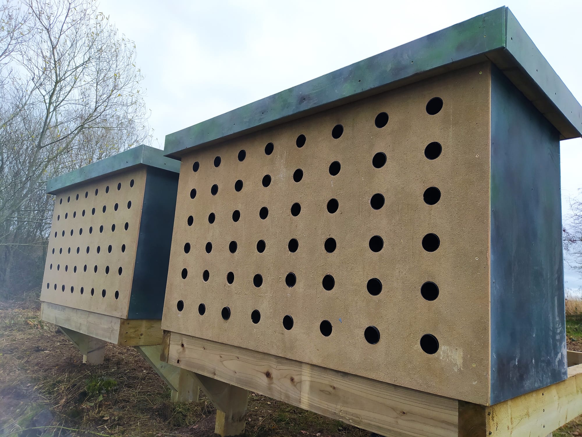Sand Martin Banks - Green Future Building Ltd (GFB)
