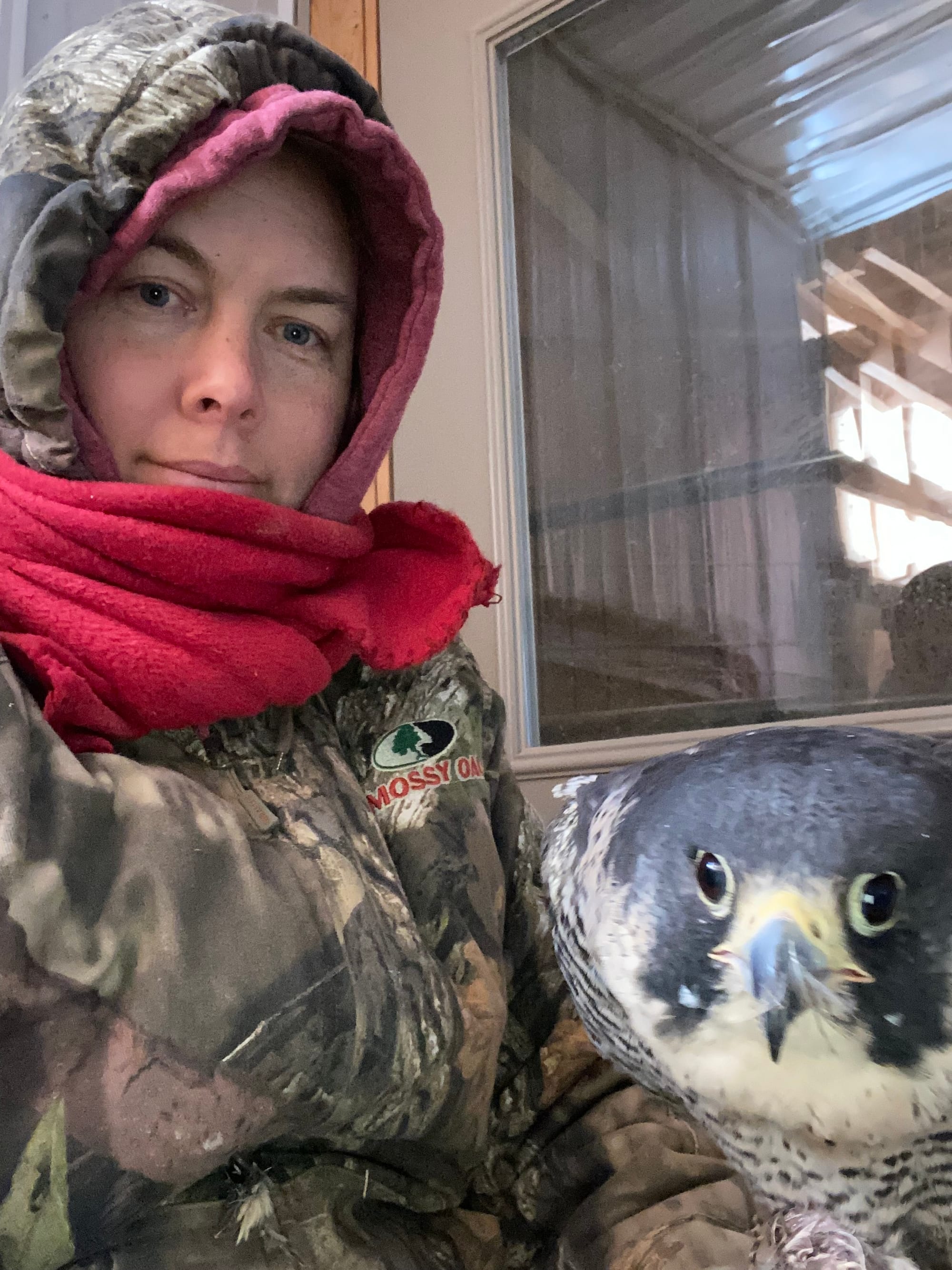 FARE - The Falconry And Raptor Education Group