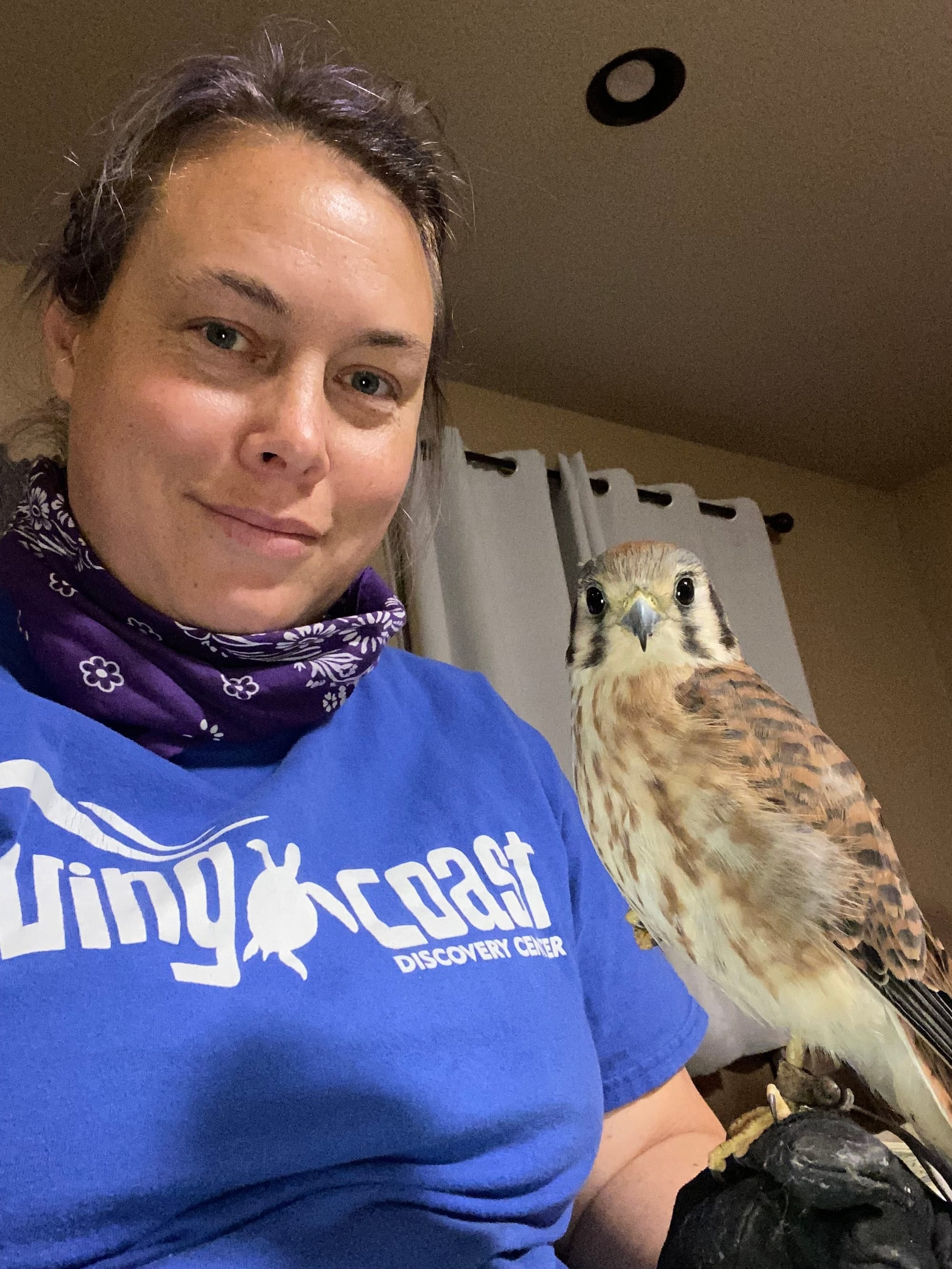 FARE - The Falconry And Raptor Education Group