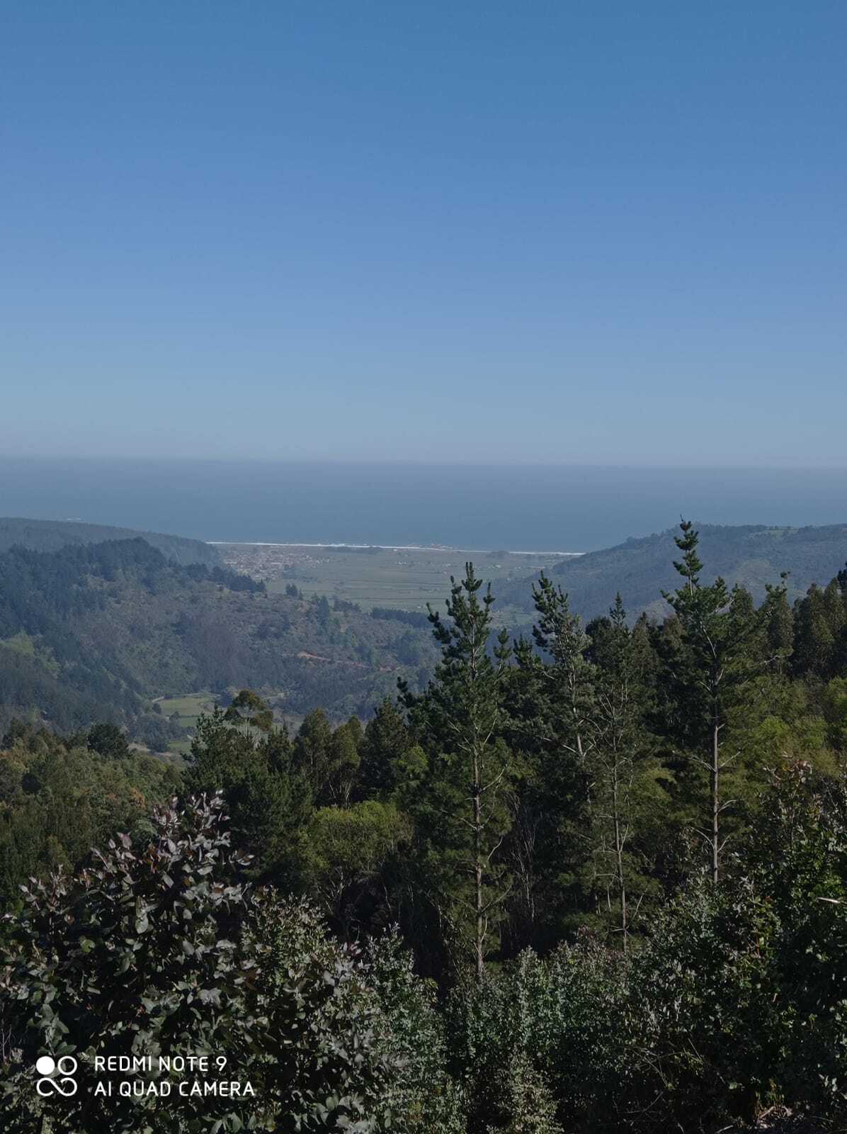 TREGUALEMU PROPIEDADES