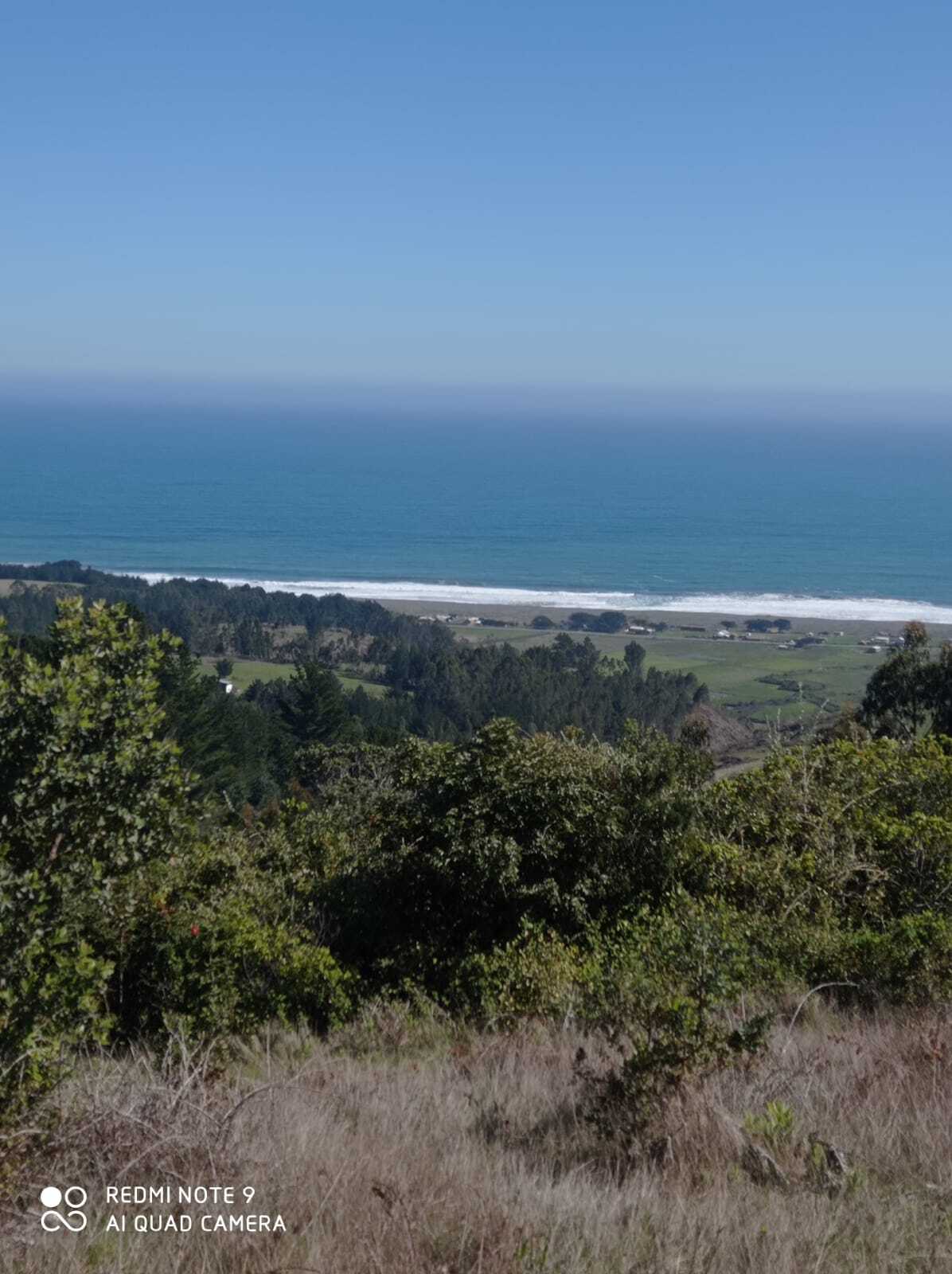 TREGUALEMU PROPIEDADES