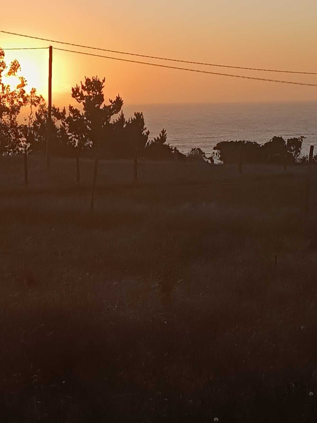 TREGUALEMU PROPIEDADES