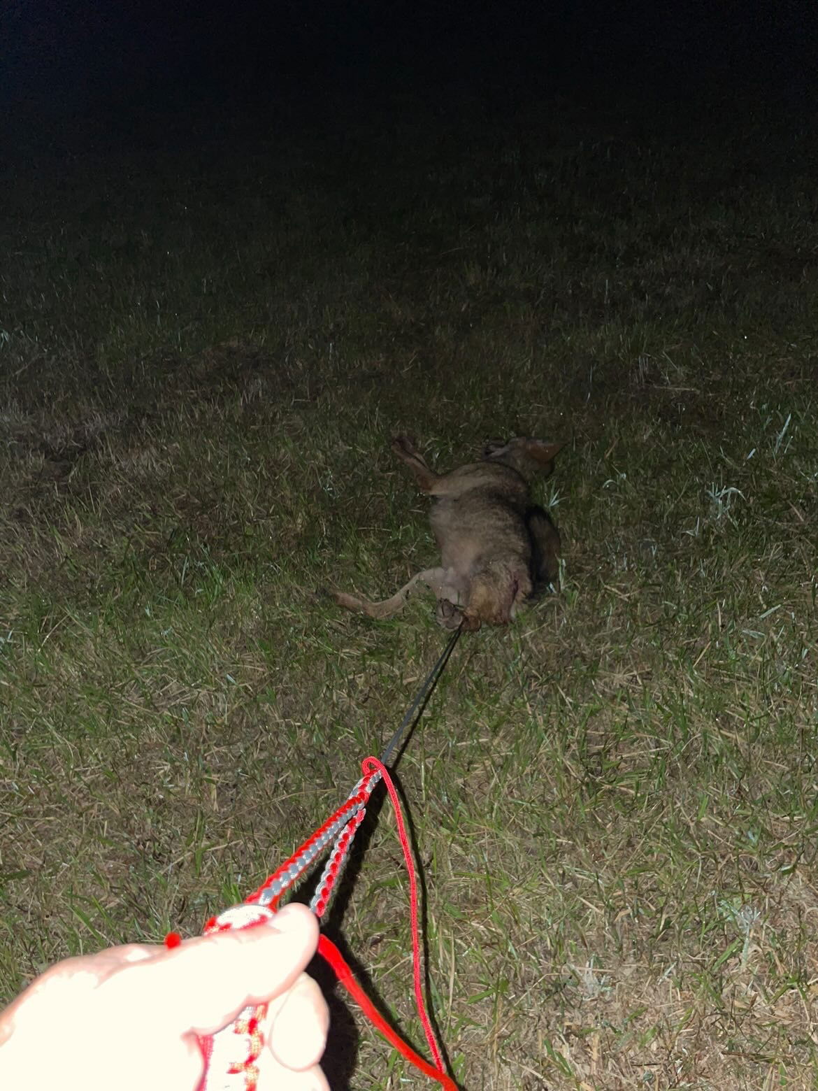 Yote Ropes - Yote Ropes, LLC