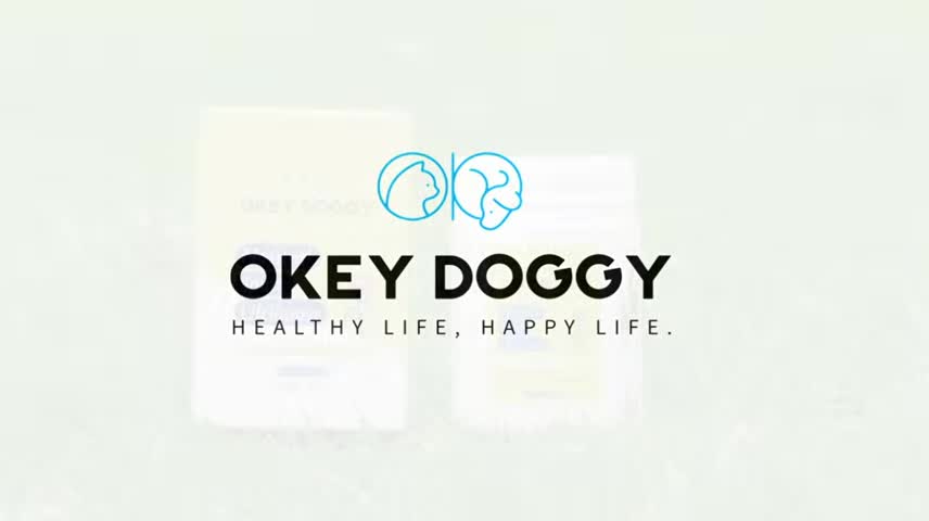 Okey Doggy-Home