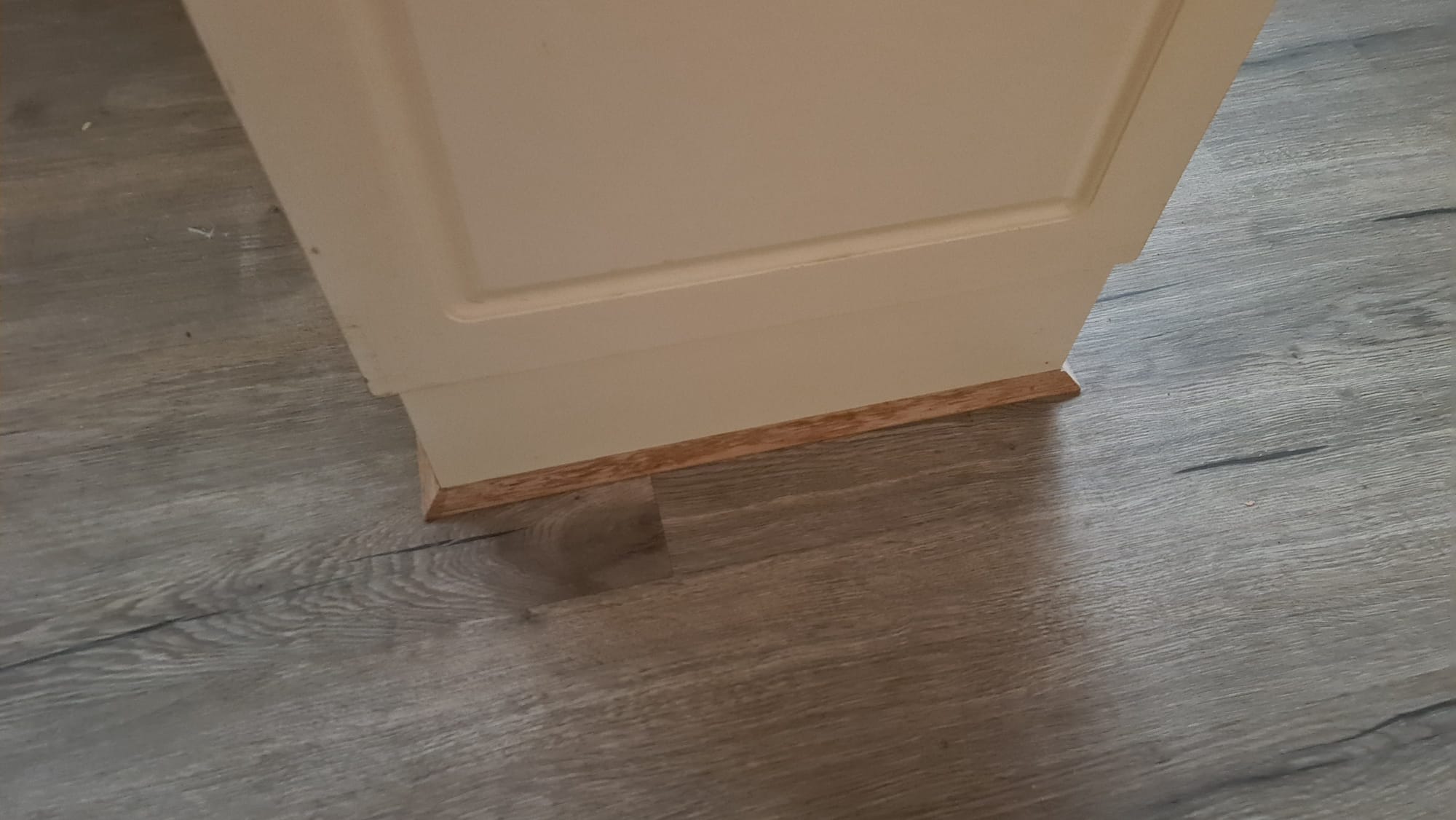 Trusted Adelaide Carpenter