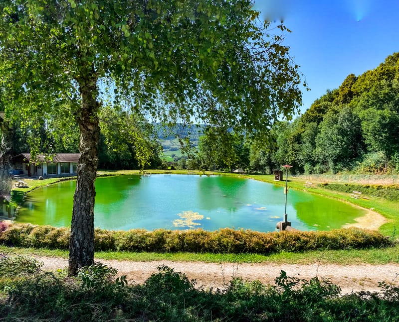 LE PETIT ETANG A BURCIN - PECHE POUR TOUS