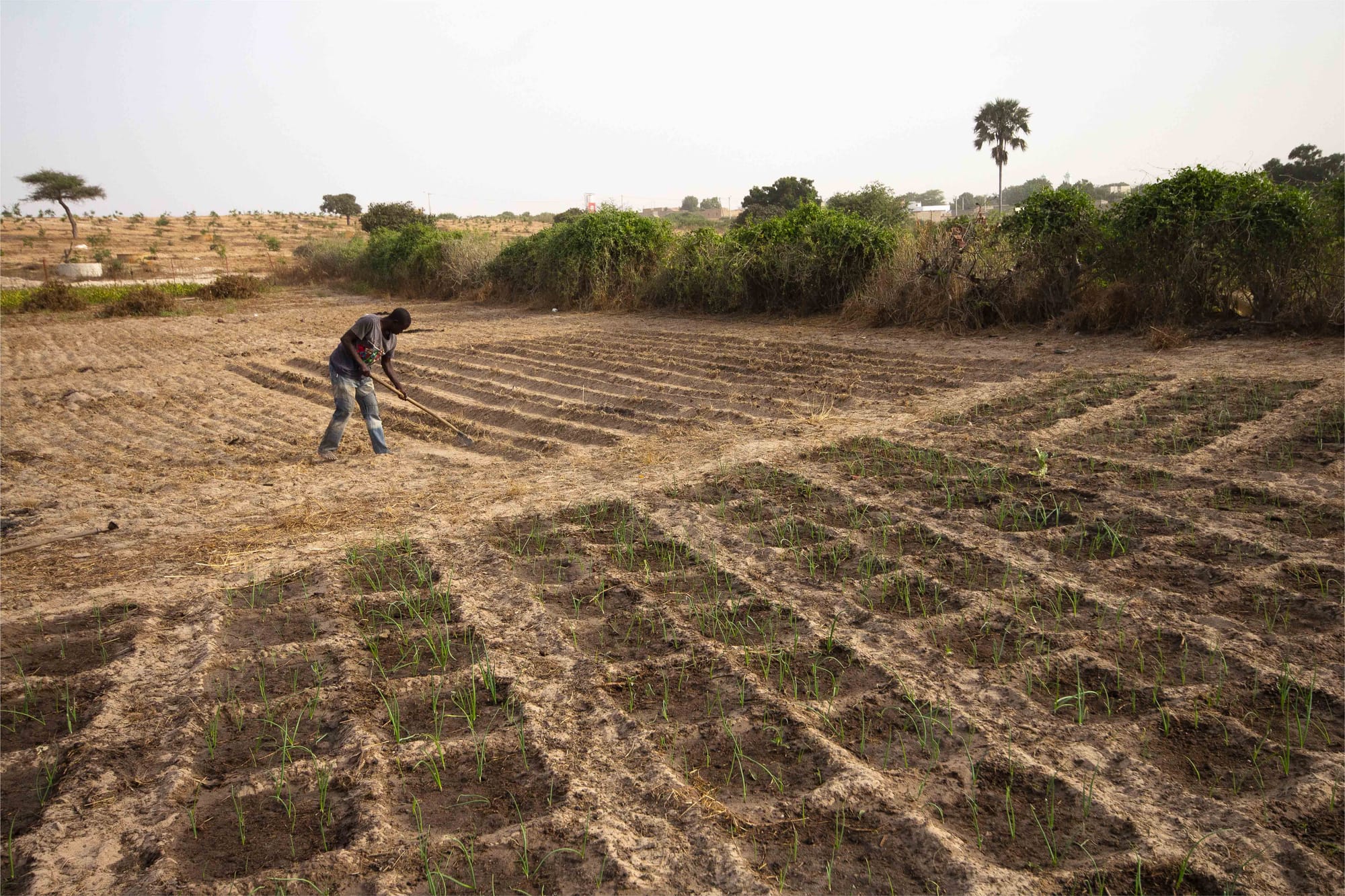 Restoring life to soils - Raphael Belmin photography