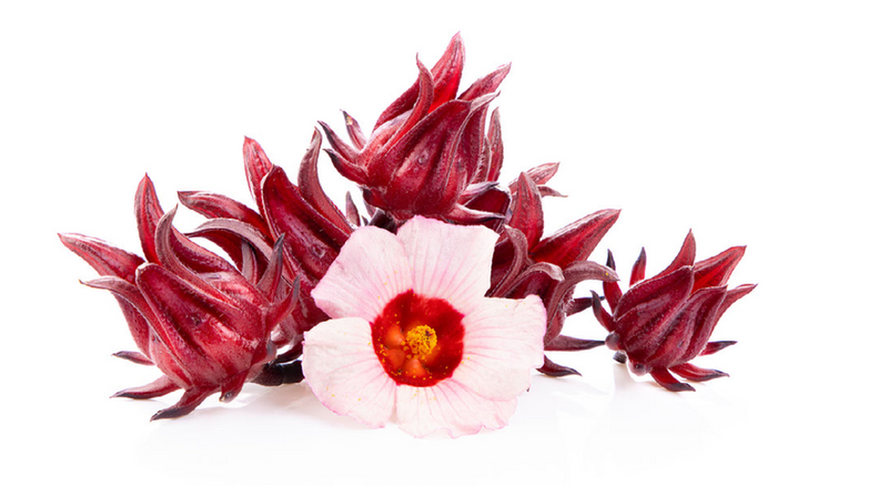 What is Roselle and Why We Love it