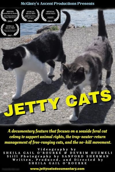 JETTY CATS - McGinty's Ascent Productions