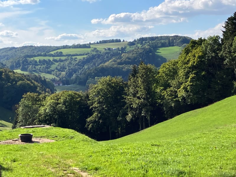 Day 9 - Petersfield to the Parthenon
