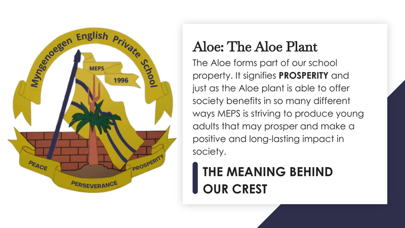 Aloe: The Aloe Plant - MEPS School