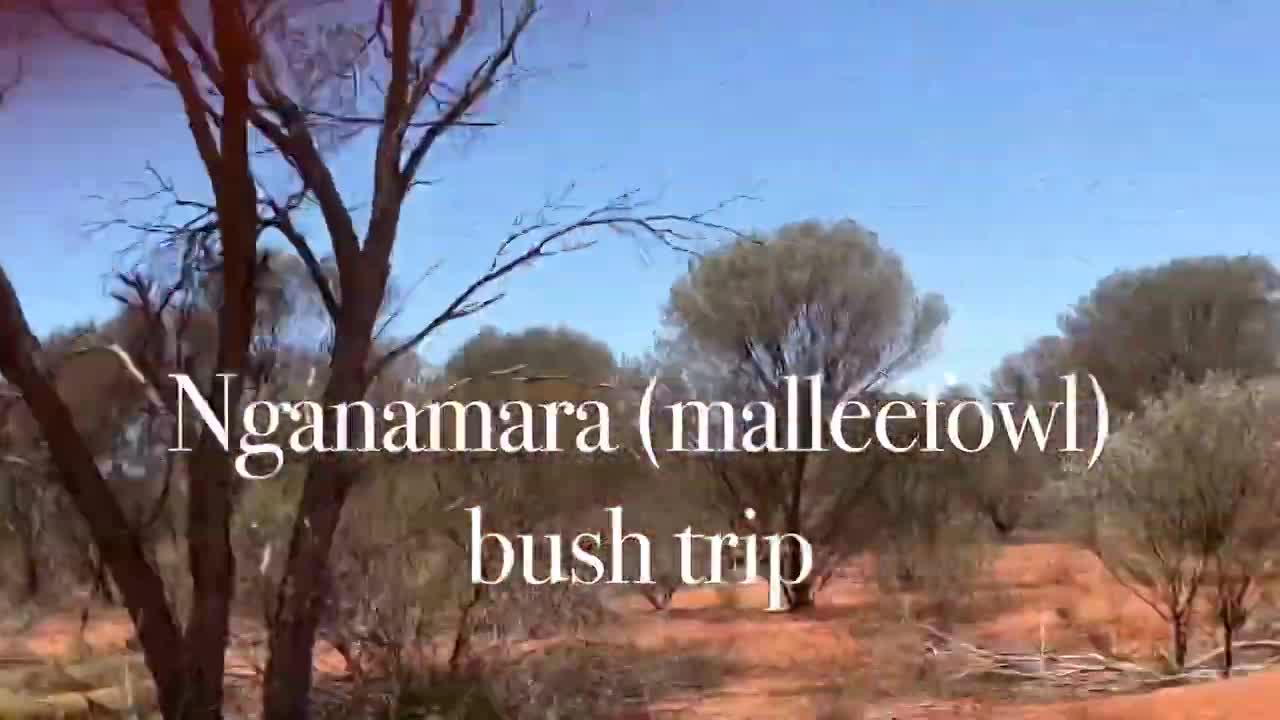 Wiluna Remote Community School - Wiluna Remote community School