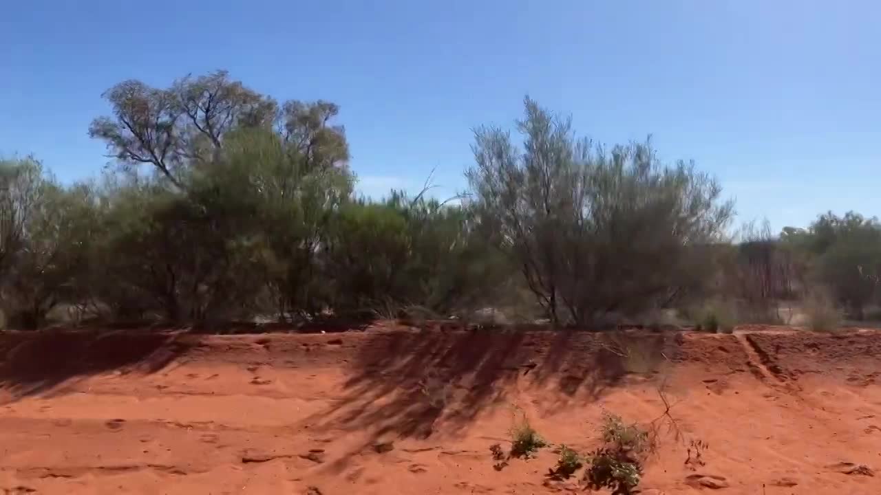 Wiluna Remote Community School - Wiluna Remote community School