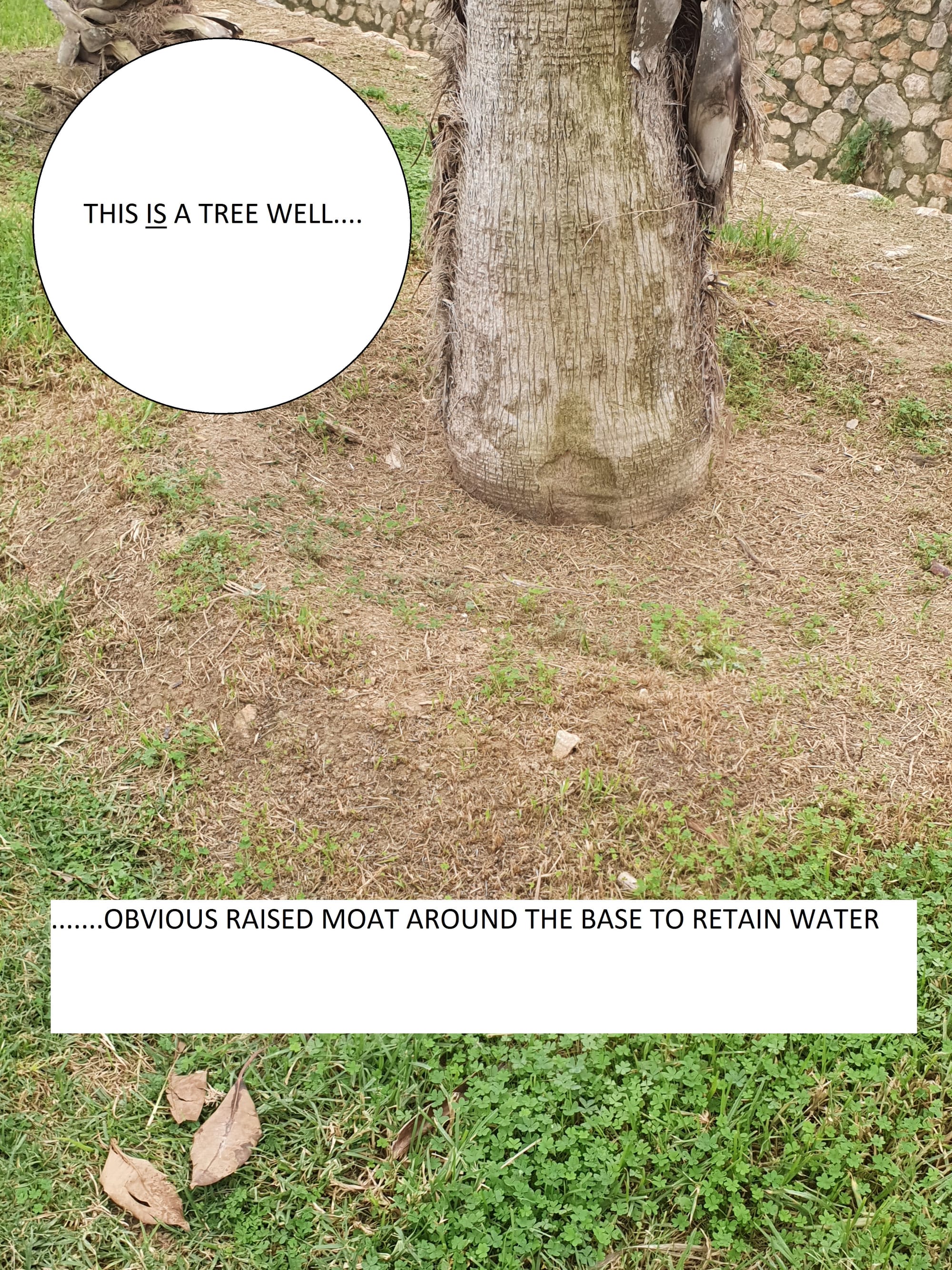 Explaining Tree Wells - Remember........if in doubt, talk to your ...