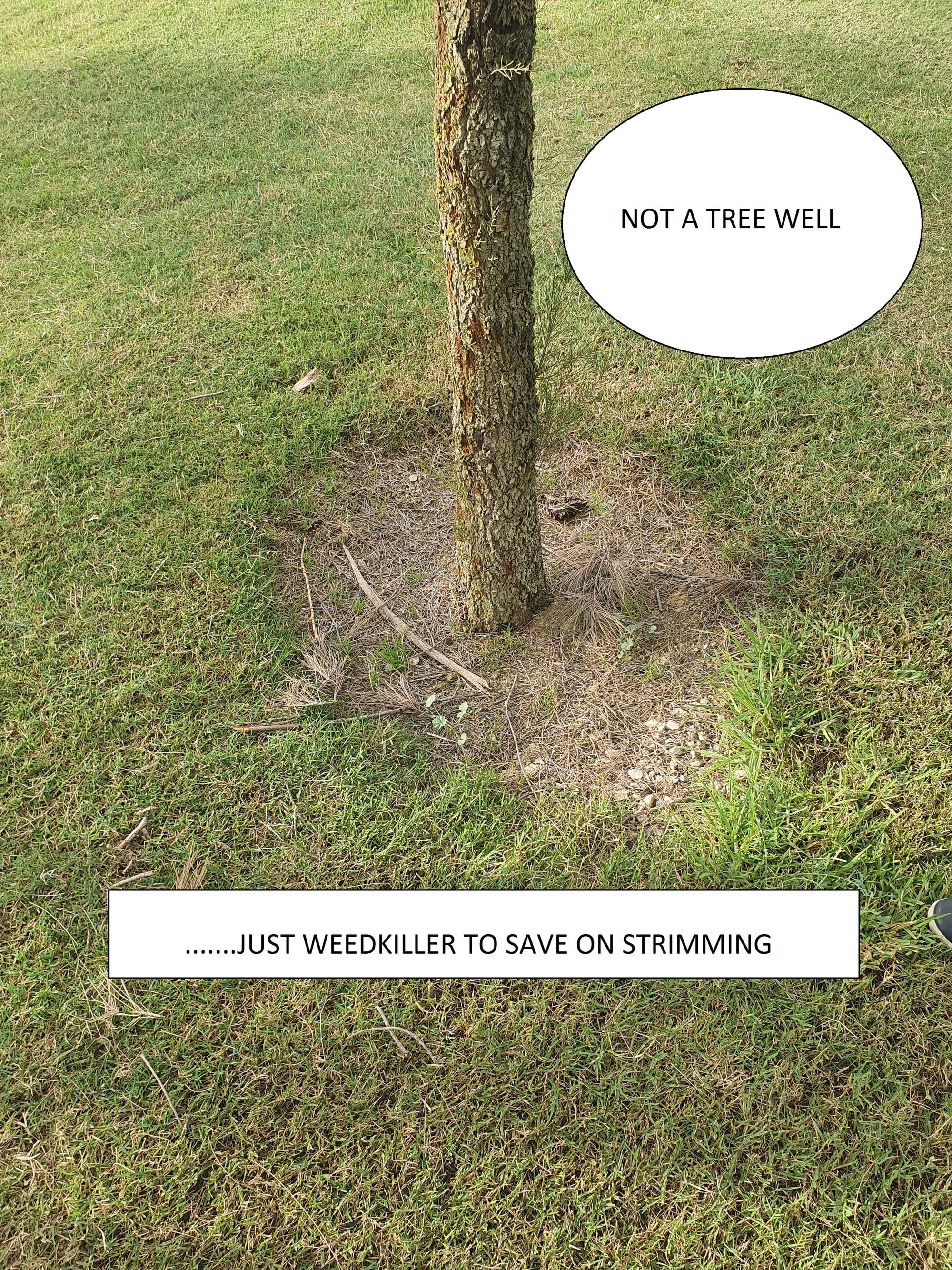 Explaining Tree Wells - Remember........if in doubt, talk to your ...