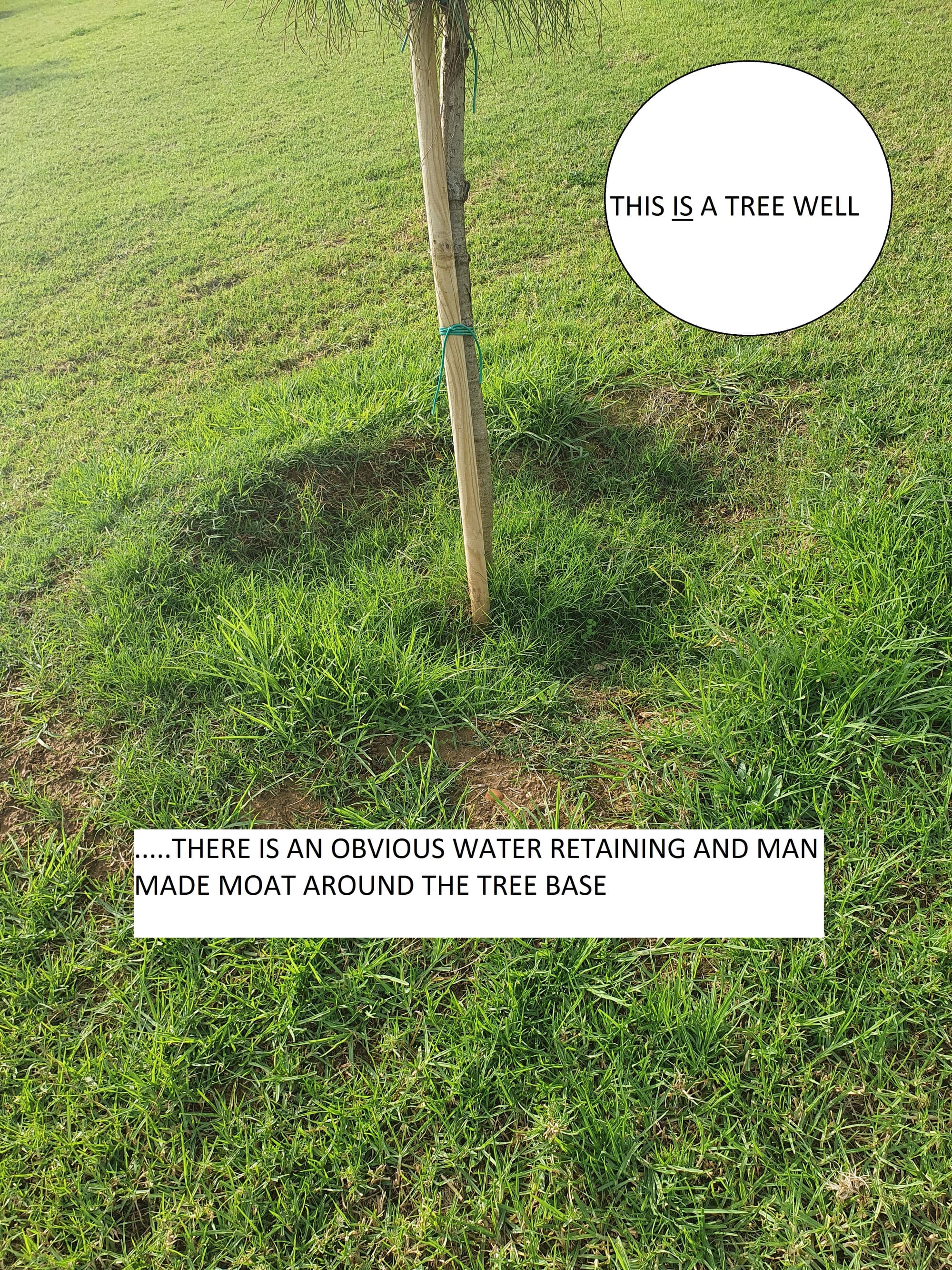Explaining Tree Wells - Remember........if in doubt, talk to your ...