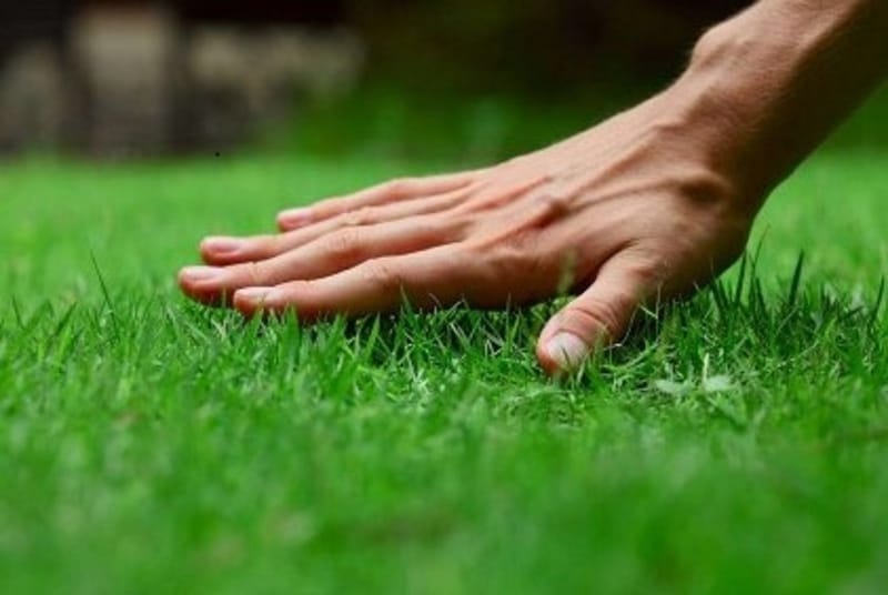 TMSA - Turf Management SA