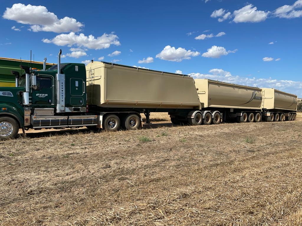 THE FARMING CO - THE FARMING CO.