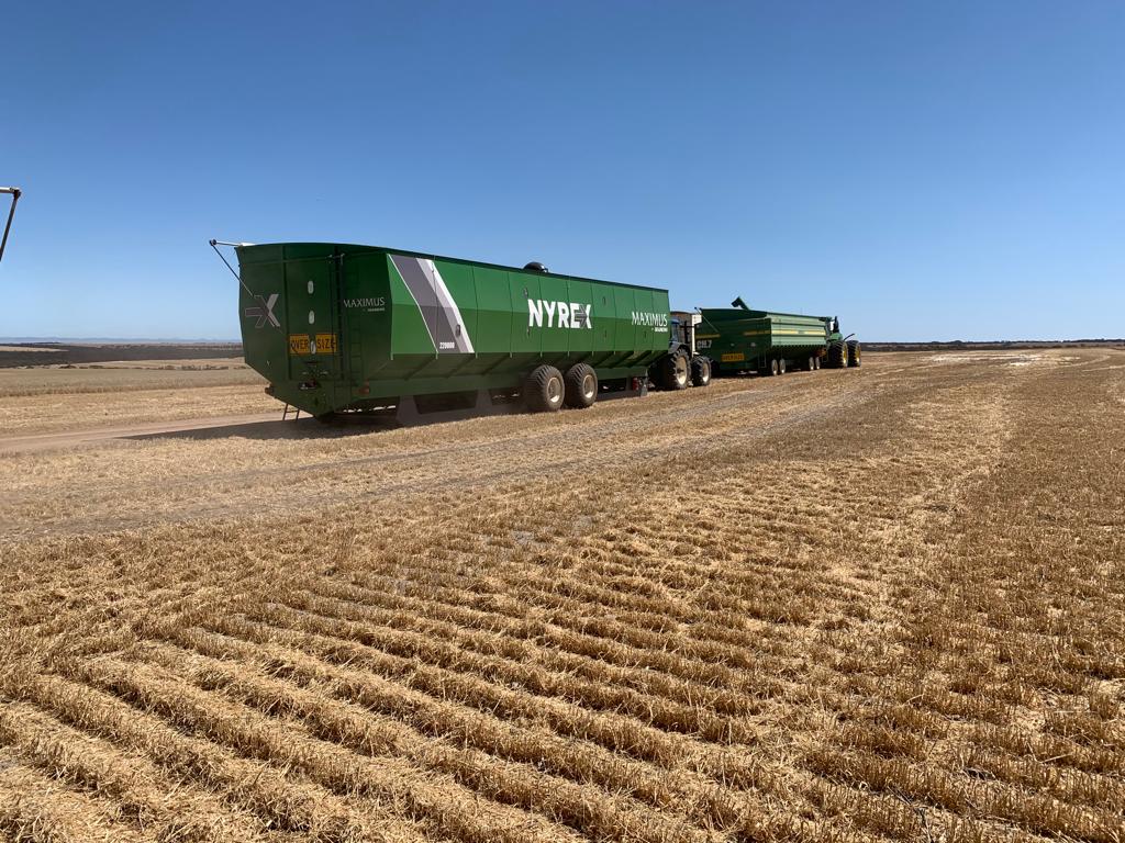 THE FARMING CO - THE FARMING CO.