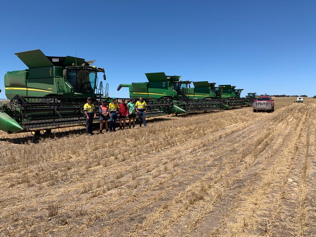 THE FARMING CO - THE FARMING CO.