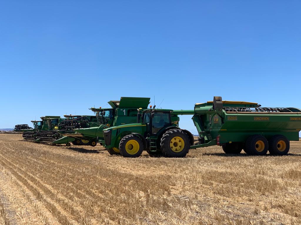 THE FARMING CO - THE FARMING CO.