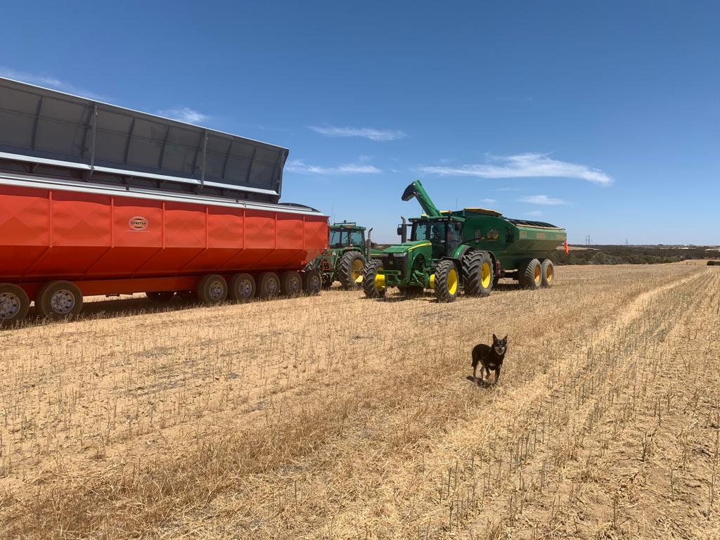 THE FARMING CO - THE FARMING CO.