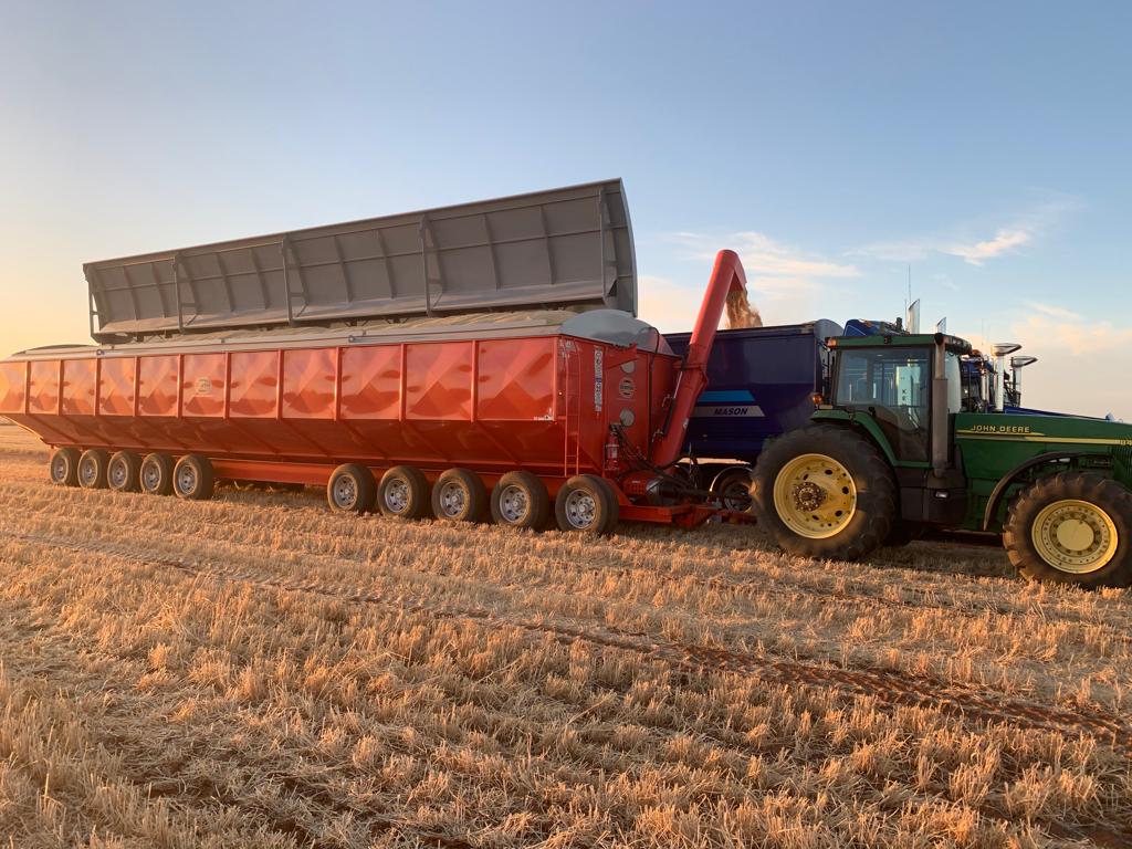 THE FARMING CO - THE FARMING CO.