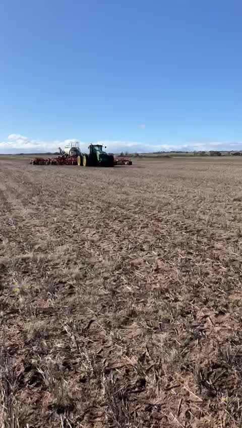 THE FARMING CO - THE FARMING CO.