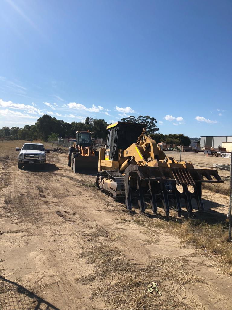 THE FARMING CO - THE FARMING CO.