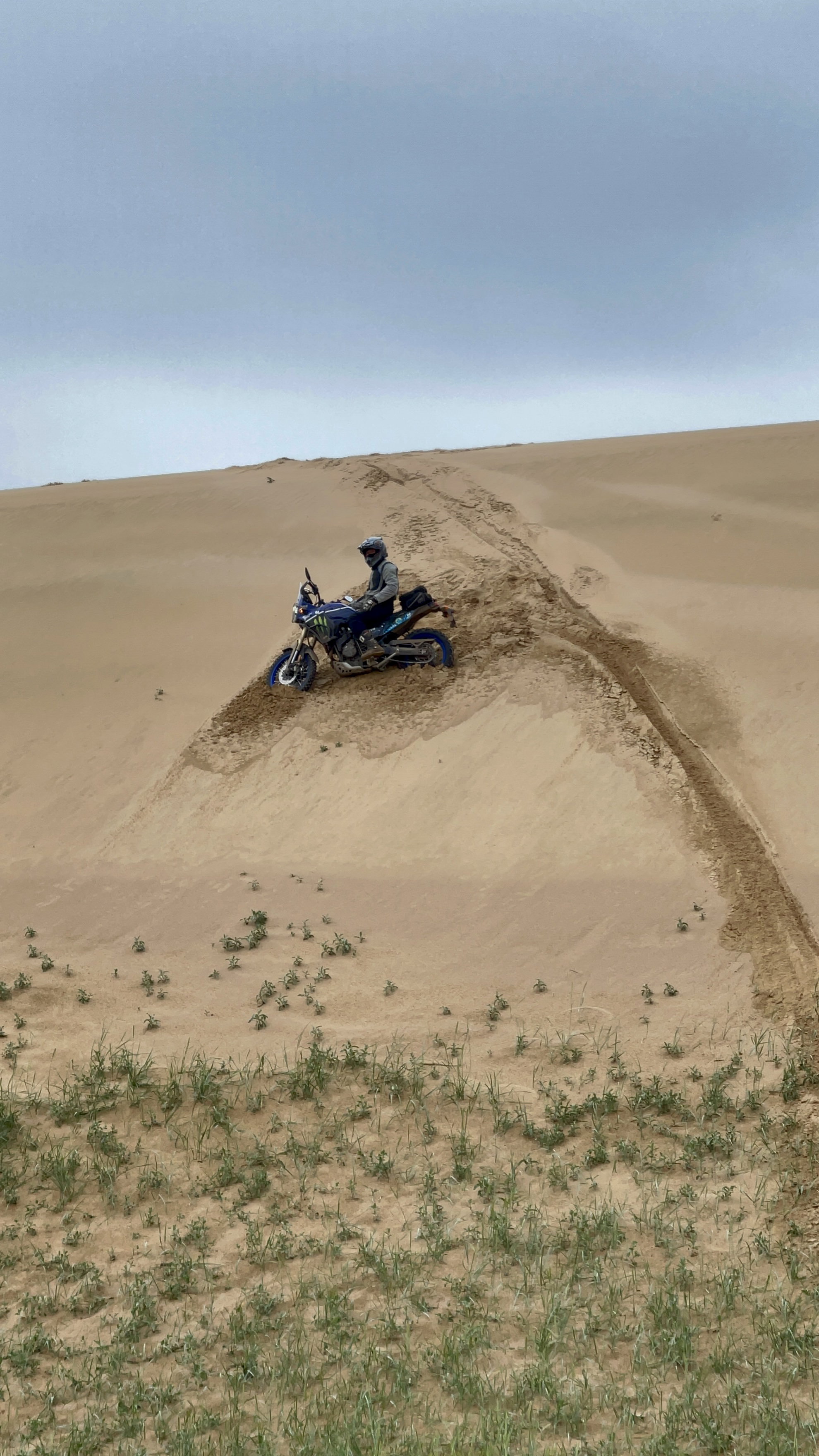 Total Adventour Guided Off-road Motorcycle Tours Mongolia