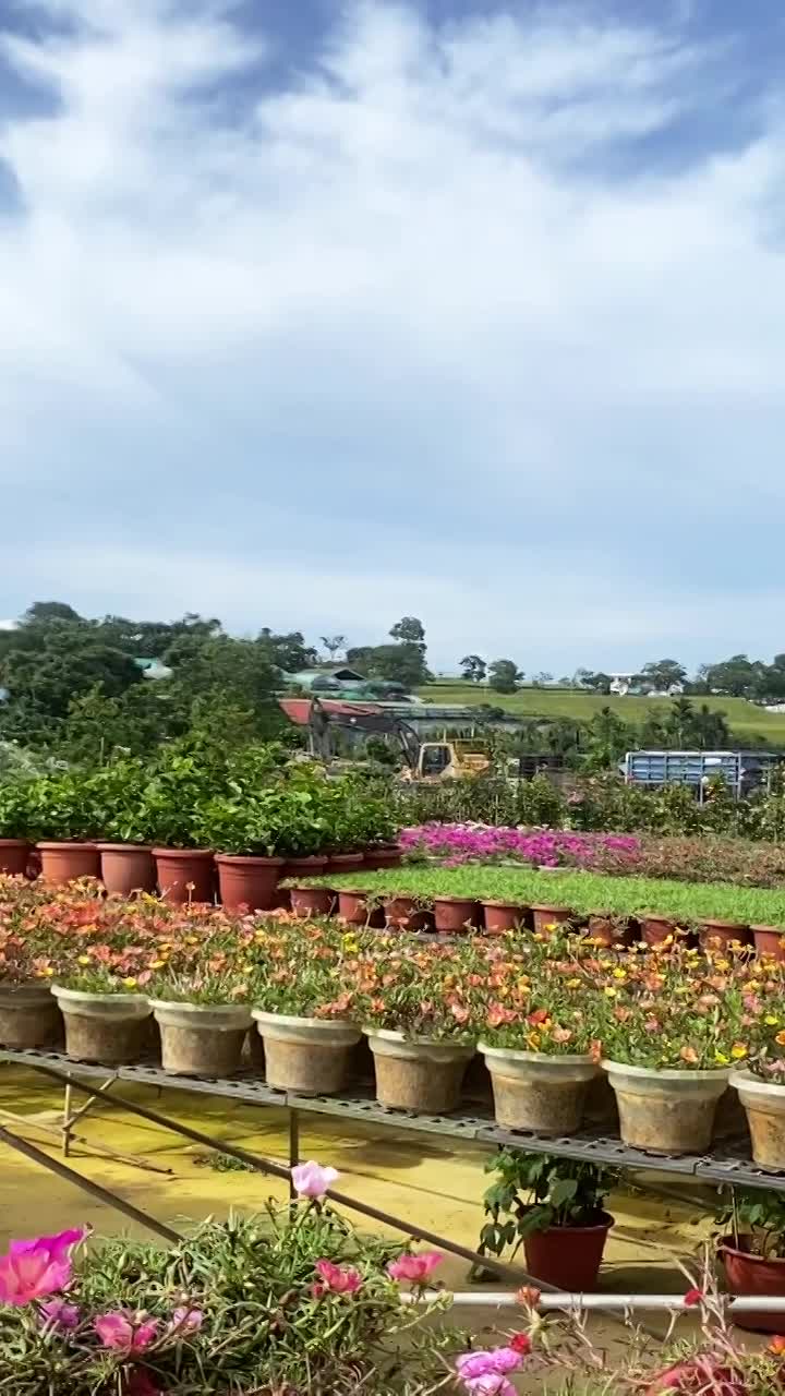 Nature Kindred - 大自然親子館