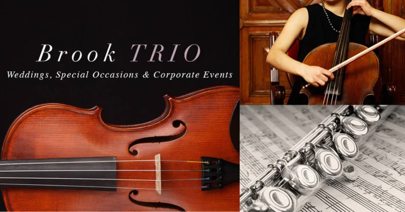'brook trio' Alternative String Quartet Trio Violin, Cello, Flute