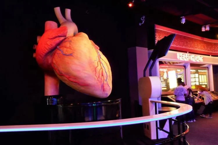 Gulf Coast Exploreum - Battle on Mobile Bay