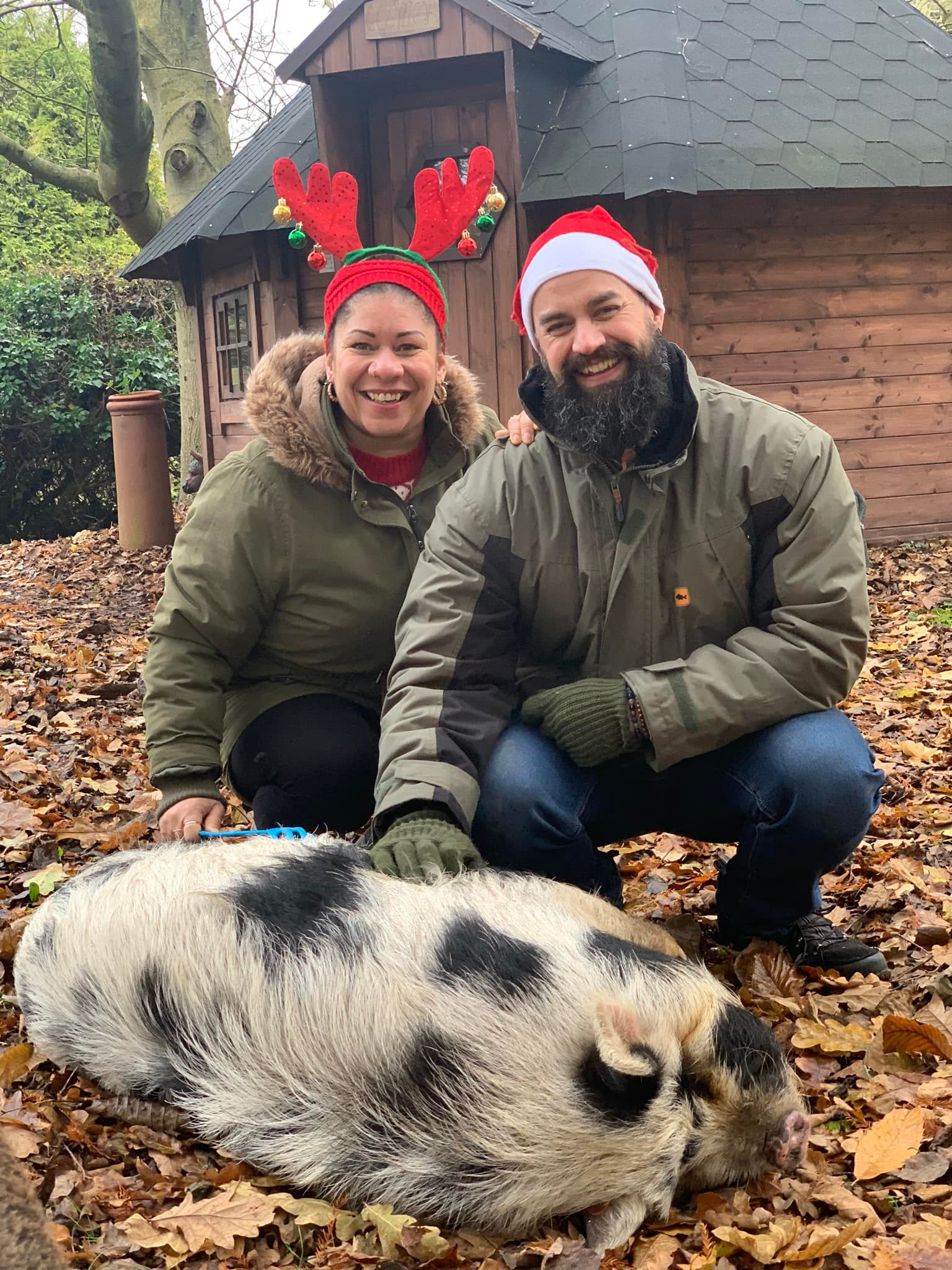 Piggy meet and greet animal Glamping expierence in Norfolk