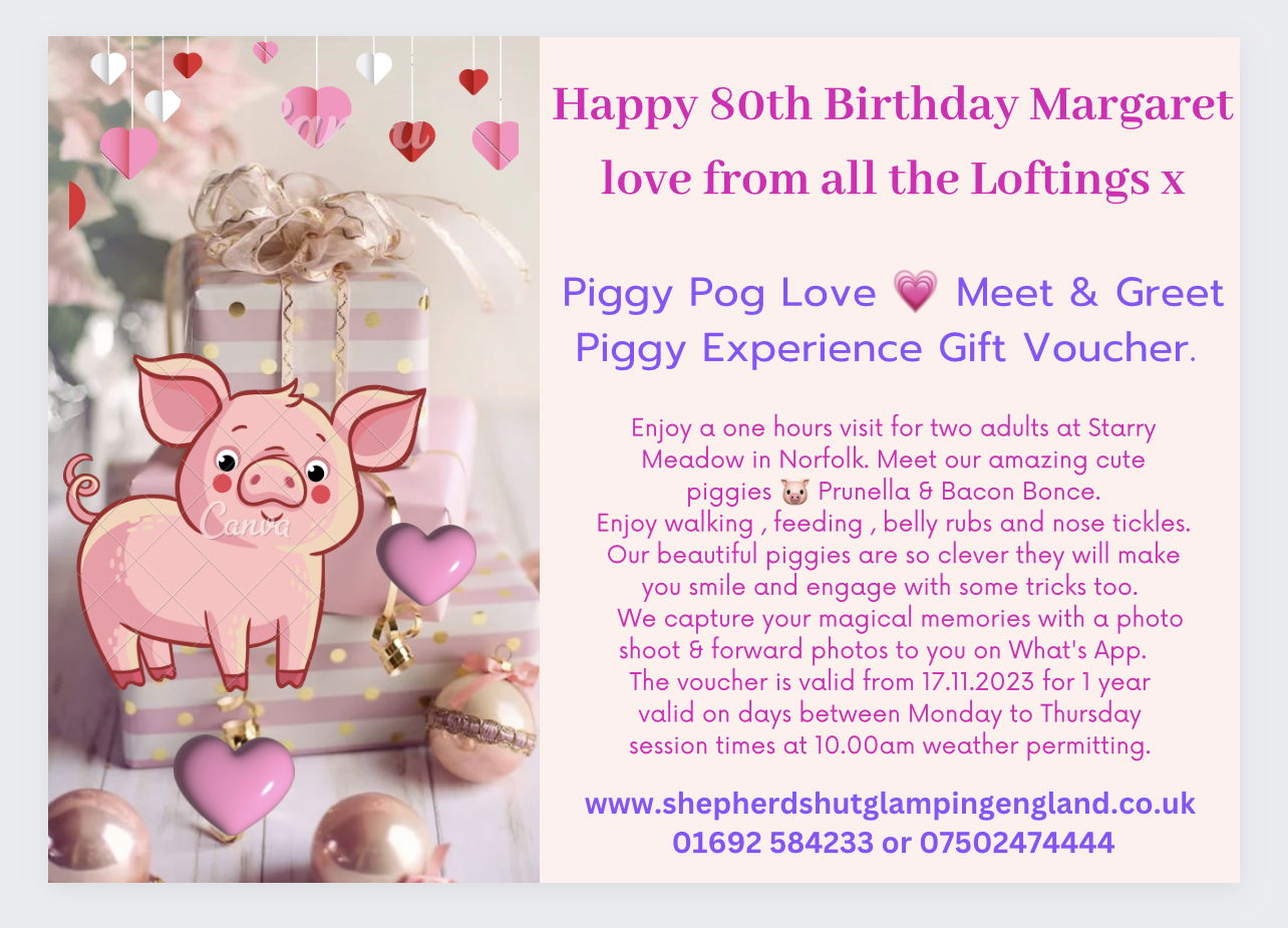 Piggy meet and greet animal Glamping expierence in Norfolk