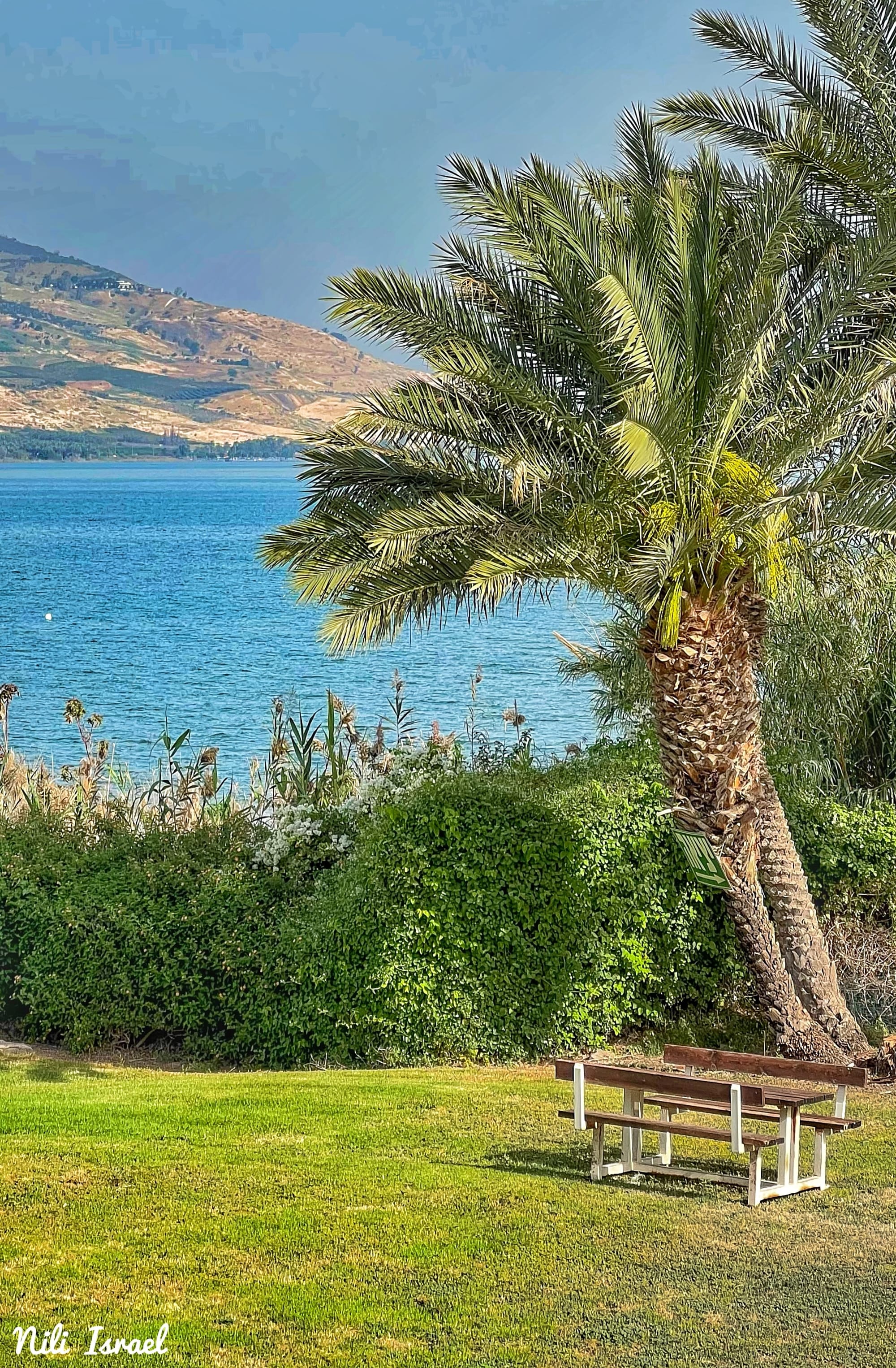 Sea of Galilee Photos - Nili Israel Photos
