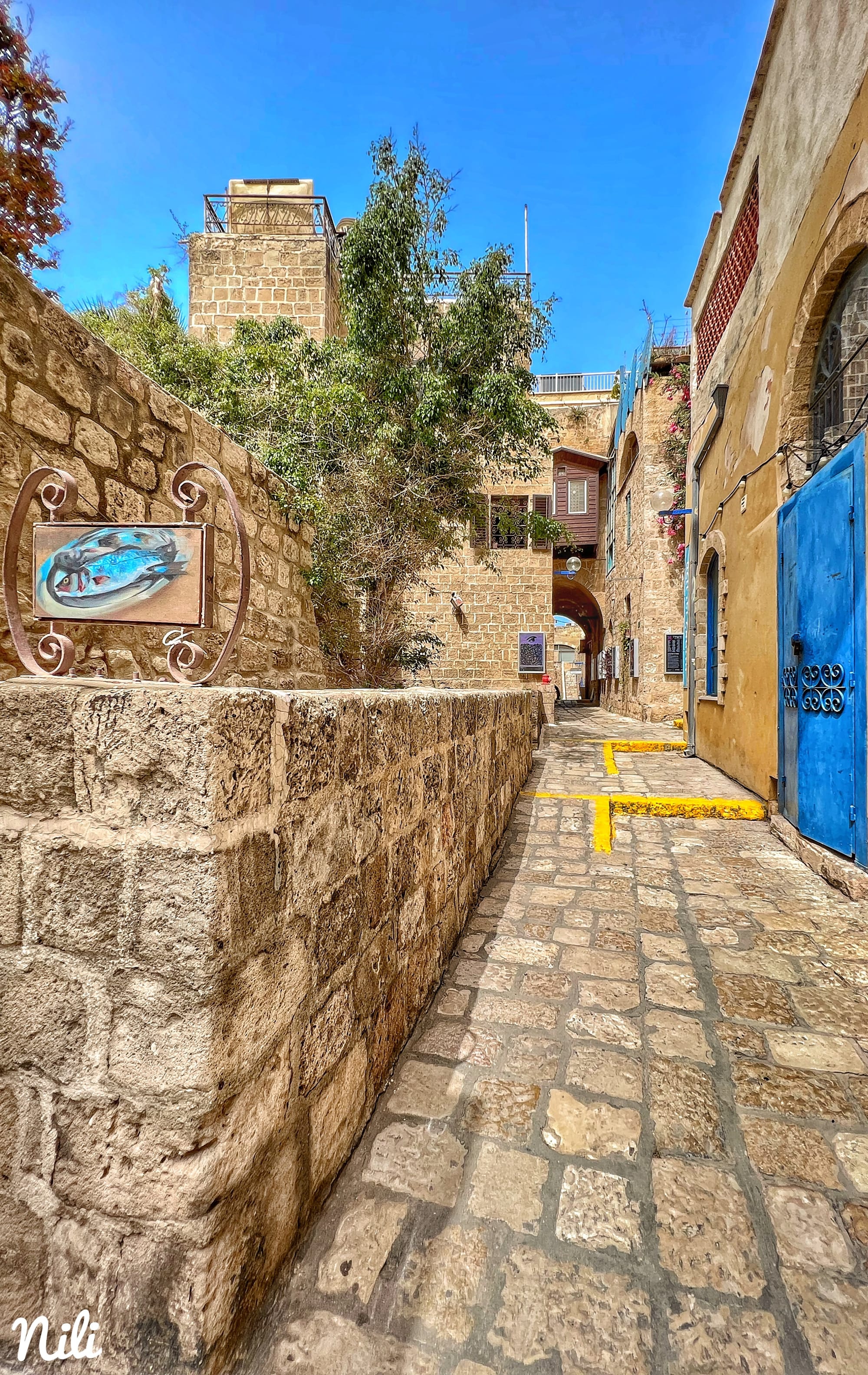 - Nili Israel Photos